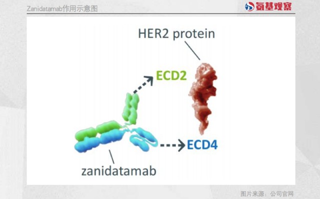 36亿美金Biotech陨落背后：创新需要“理想主义”，但投资不是_财富号_东方财富网