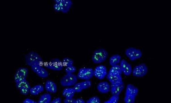 DS8201一个月量的价格多少钱内地有合作医院持续更新_财富号_东方财富网