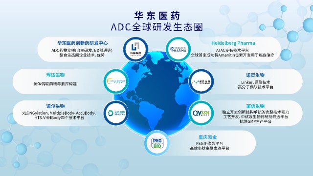 华东医药ADC蓝海赛道马力全开_财富号_东方财富网