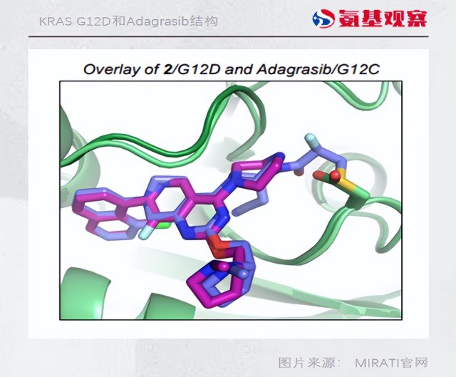 益方生物遭1亿索赔渊源始末，KRAS G12D抑制剂成为新风口？_财富号_东方财富网