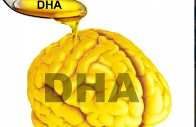 DHA能提高记忆力？DHA哪个牌子好？_财富号_东方财富网