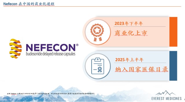 云顶新耀线上论坛：IgA肾病和该疾病首创的治疗药物Nefecon在中国的治疗前景和市场机会_财富号_东方财富网