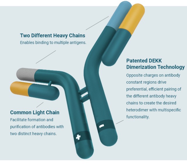 肿瘤干细胞标志物：LGR5_财富号_东方财富网