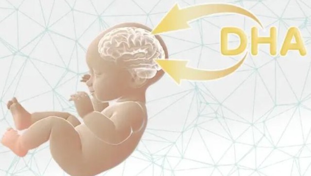 DHA产品哪家靠谱 孕妇与幼儿买哪款DHA_财富号_东方财富网