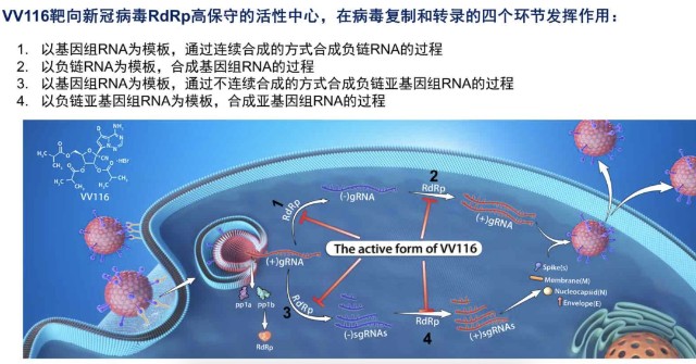 君实生物新冠药VV116上市申请获受理_财富号_东方财富网