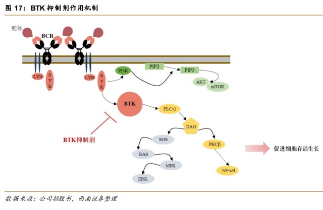 首药控股研究报告：三代ALK和RET有望成为首款国产产品_财富号_东方财富网