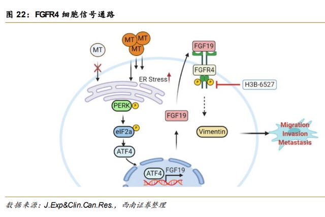 首药控股研究报告：三代ALK和RET有望成为首款国产产品_财富号_东方财富网