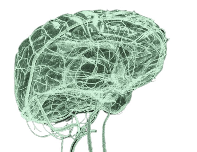Synchron获$7500万C轮融资，推进血管内脑机接口的发展_财富号_东方财富网