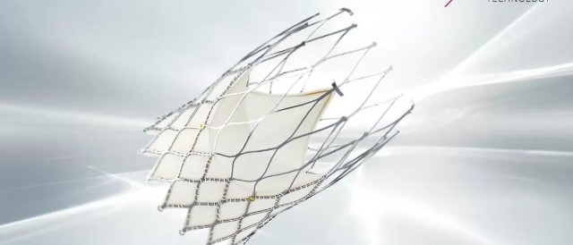 国际化表率 I 蓝帆医疗心脑血管事业部两款高端医疗器械于印尼获批_财富号_东方财富网