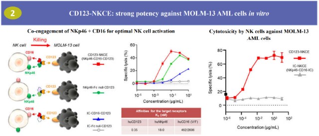 赛诺菲NKp46/CD16/CD123三抗在华申报临床，治疗血液瘤_财富号_东方财富网