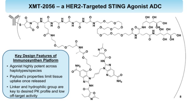 患者死亡，Mersana的HER2 ADC暂停临床_财富号_东方财富网