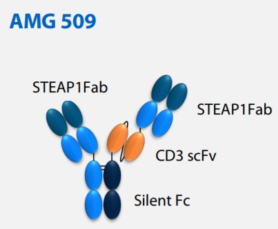 国内首款！安进/百济神州CD3/STEAP1双抗申报临床_财富号_东方财富网