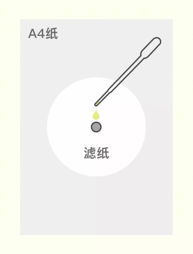 金鉴李工：透射电镜TEM中如何正确制样和选择载网？_财富号_东方财富网