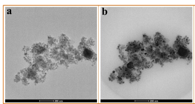 金鉴李工：介绍两种照射模式下的TEM透射电子显微镜_财富号_东方财富网