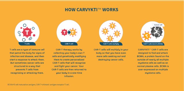 Carvykti3期临床试验结果远超预期_财富号_东方财富网