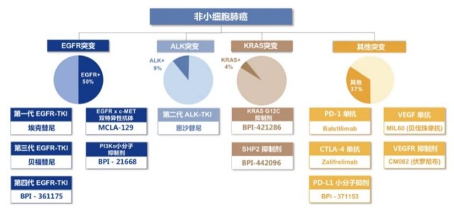 贝达药业启示录：曾经的创新药“第一股”是如何掉队的？_财富号_东方财富网