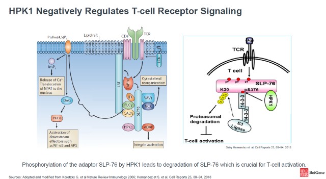 干货！百济神州的早期研发管线和研究项目（附PPT）_财富号_东方财富网