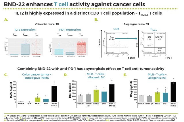赛诺菲斥资超10亿美元，拿下ILT2抗体！这款新型癌症免疫疗法究竟有何优势？_财富号_东方财富网