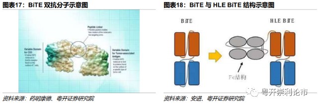 粤开医药深度 | 双抗深度报告（一）：双抗概念、分类及技术平台梳理_财富号评论(cfhpl)股吧_东方财富网股吧