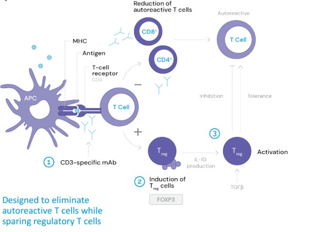 一波三折！突破性疗法CD3单抗上市审批遭FDA延期_财富号_东方财富网