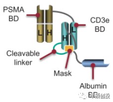 Janux：戴上“mask”的双抗_财富号_东方财富网