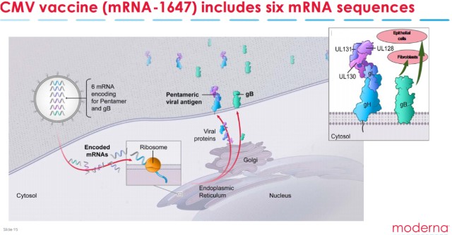干货！Moderna战略布局及产品管线（附PPT）_财富号_东方财富网