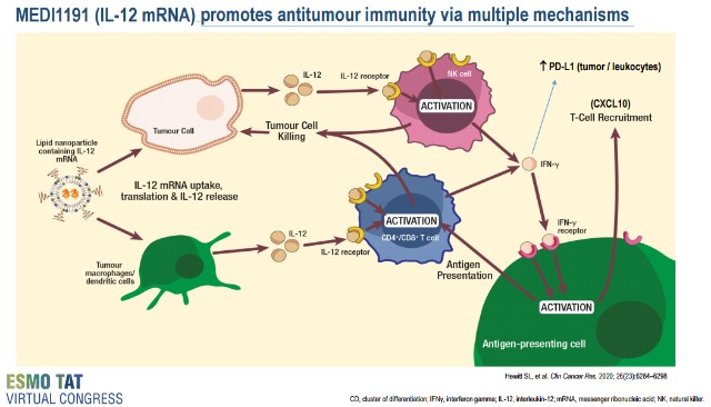 干货！Moderna战略布局及产品管线（附PPT）_财富号_东方财富网