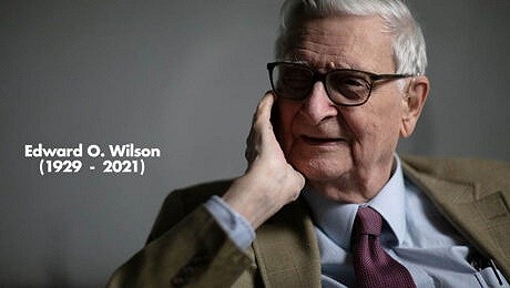 美国生物学家爱德华威尔逊逝世，一生从未从喜爱昆虫的童年中走出_财富号_东方财富网