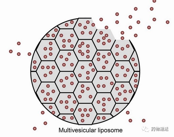 布比卡因脂质体无法被轻易仿制的原因_财富号_东方财富网