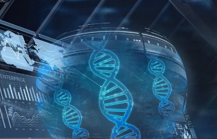 划重点nmn品牌排名，十大nmn品牌排行榜值不值得买_财富号_东方财富网