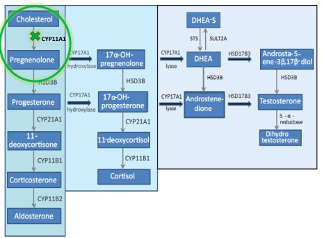 2.9亿美元首付款！默沙东引入晚期前列腺癌新疗法_财富号_东方财富网